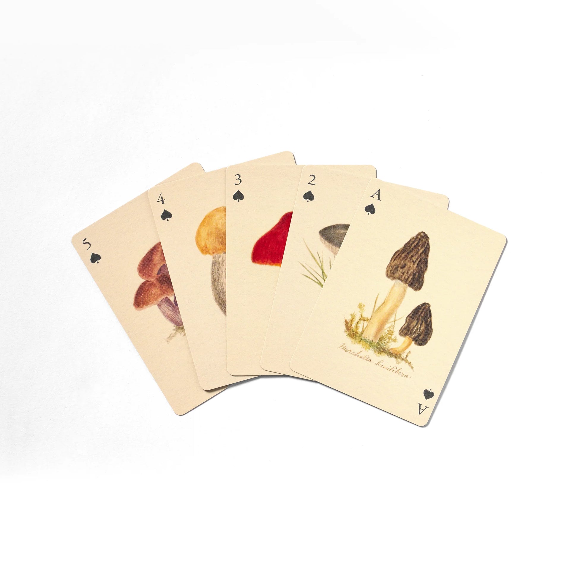 Playing Cards Two Deck Fungi – Flux